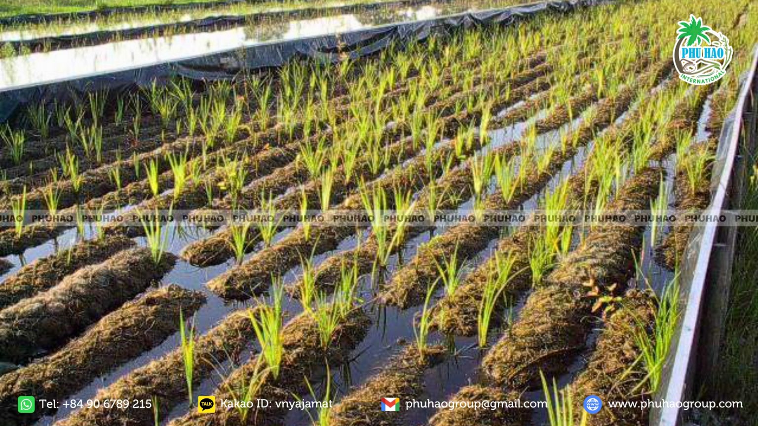 Coir Log – The Sustainable Solution for Erosion Control & Environmental ...